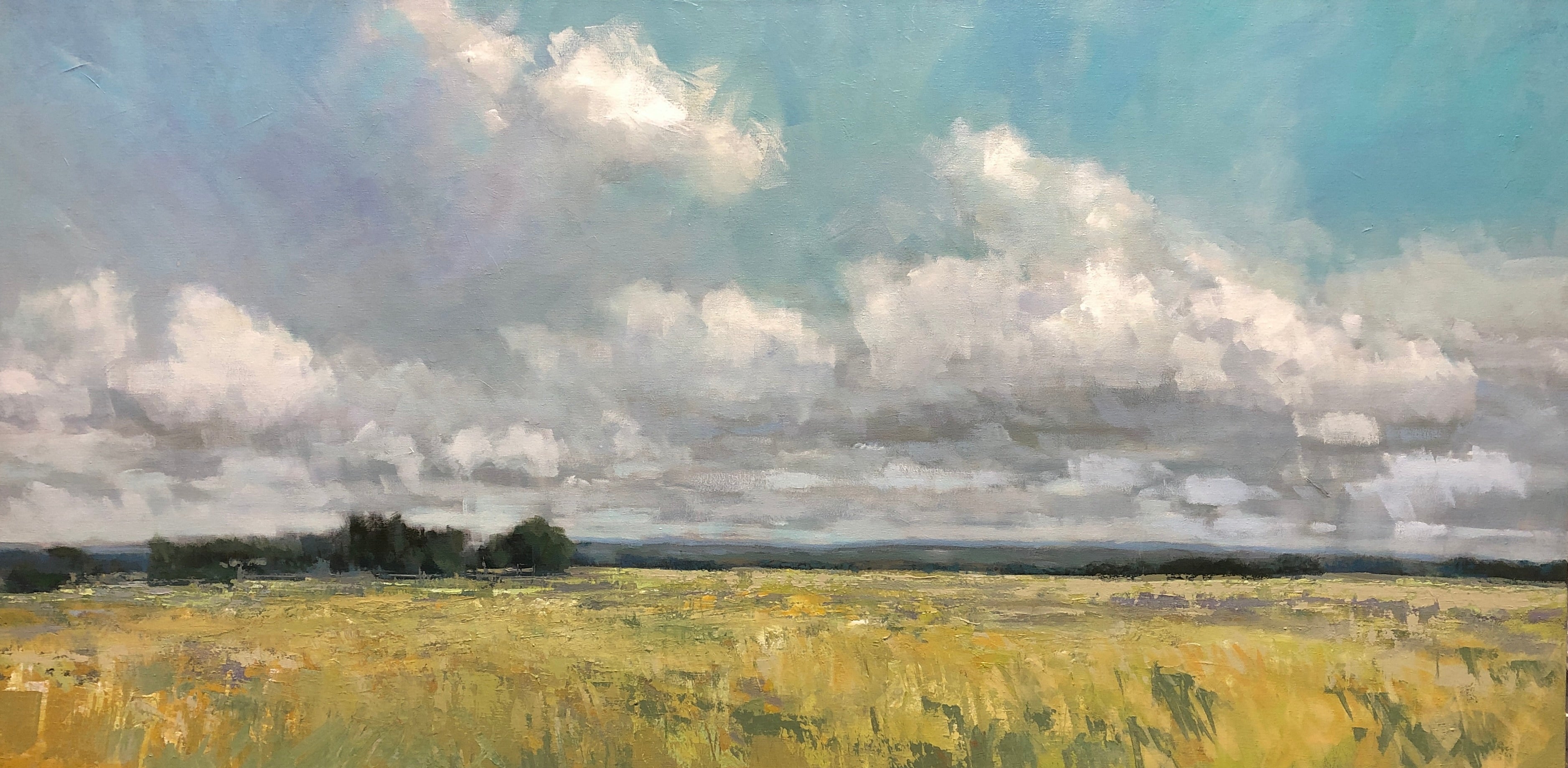 Gabriella Collier - Land Textures – AGH Art Sales + Services