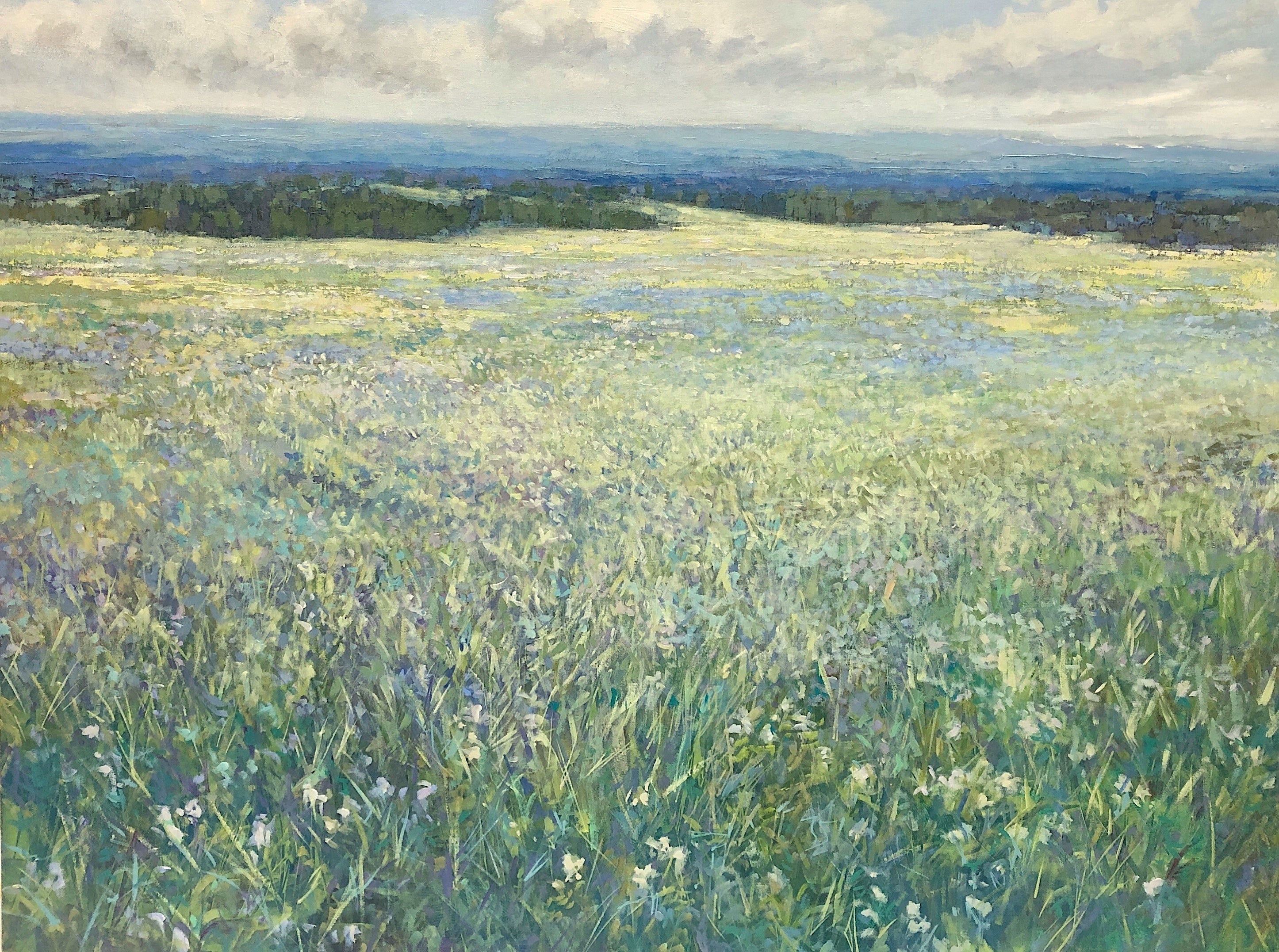 Gabriella Collier - Spilling Over – AGH Art Sales + Services