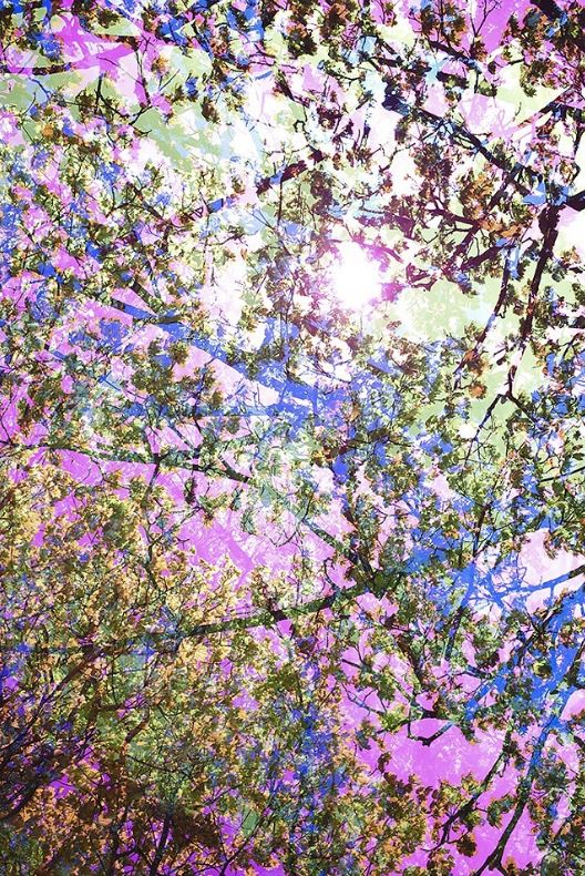 Natalie Hunter - A Faded Rose Haze – AGH Art Sales + Services